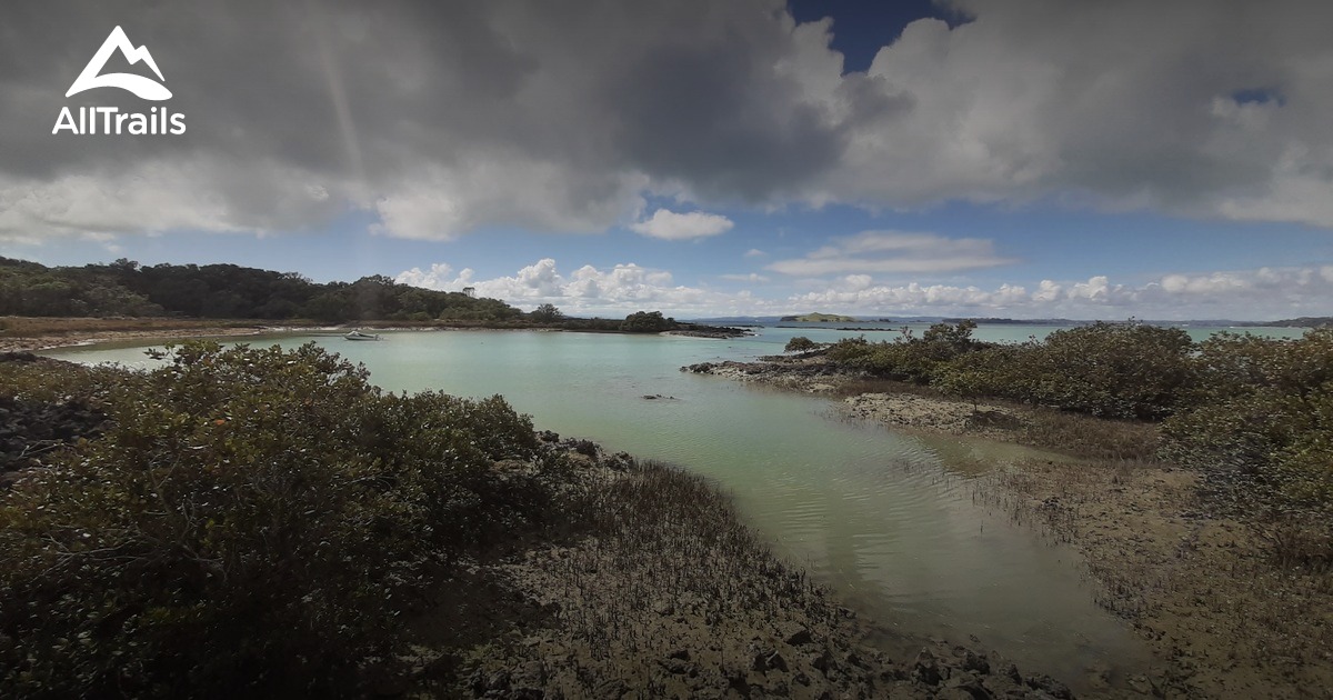 Best hikes and trails in Rangitoto Island Scenic Reserve | AllTrails