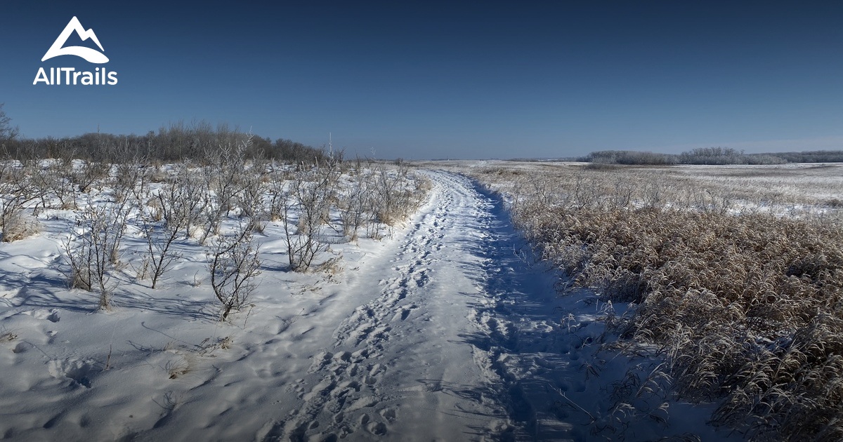 Los mejores senderos y rutas en Rivers Provincial Park | AllTrails