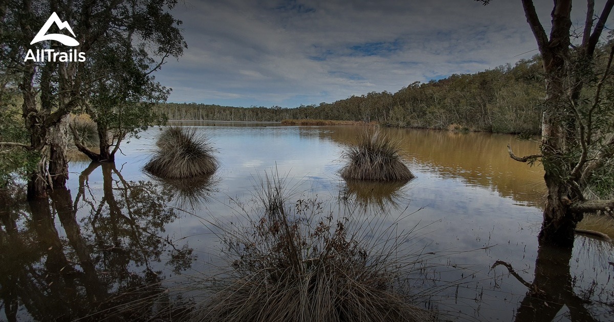 Best hikes and trails in Colongra Swamp Nature Reserve | AllTrails