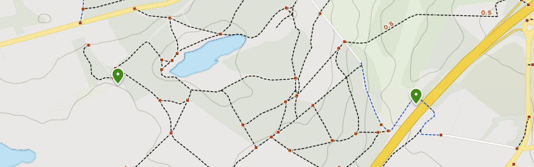 Best Hikes and Trails in Willesley Woods | AllTrails