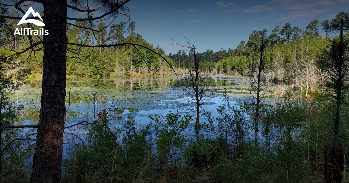 Aiken Gopher Tortoise Heritage Preserve : les meilleures randonnées et ...