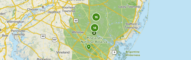 Best 10 Trails in New Jersey Pinelands National Reserve | AllTrails