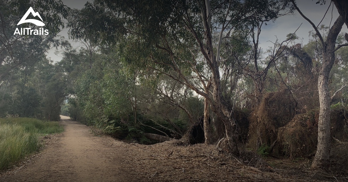 Best hikes and trails in Ashfield Flats | AllTrails