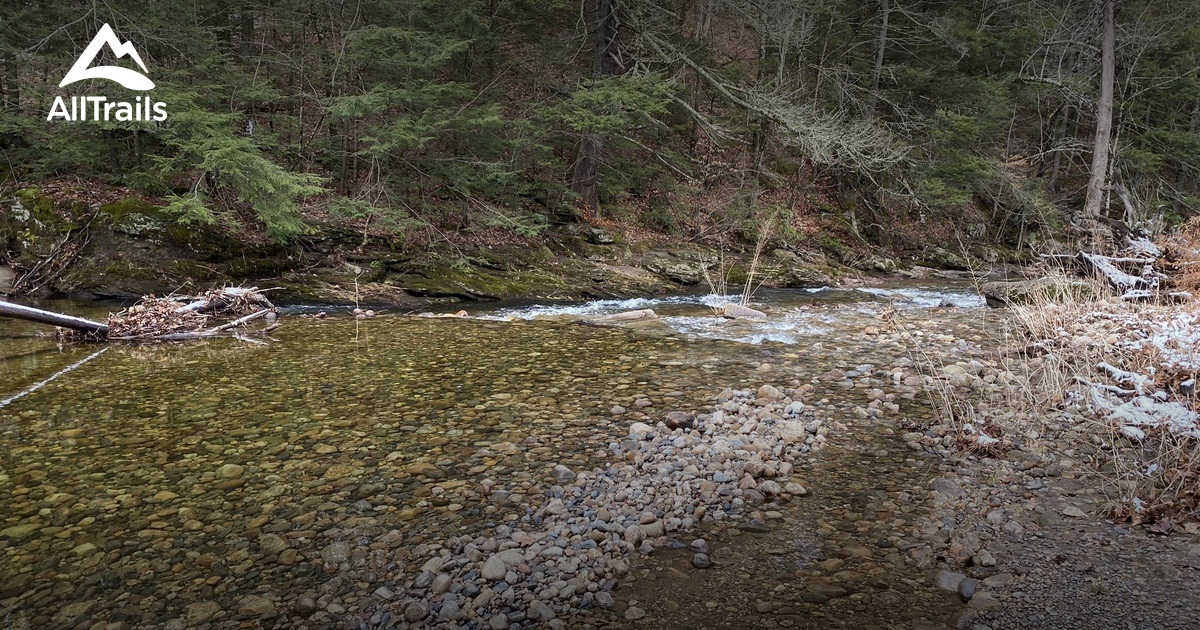 Best hikes and trails in Nuckols Preserve | AllTrails