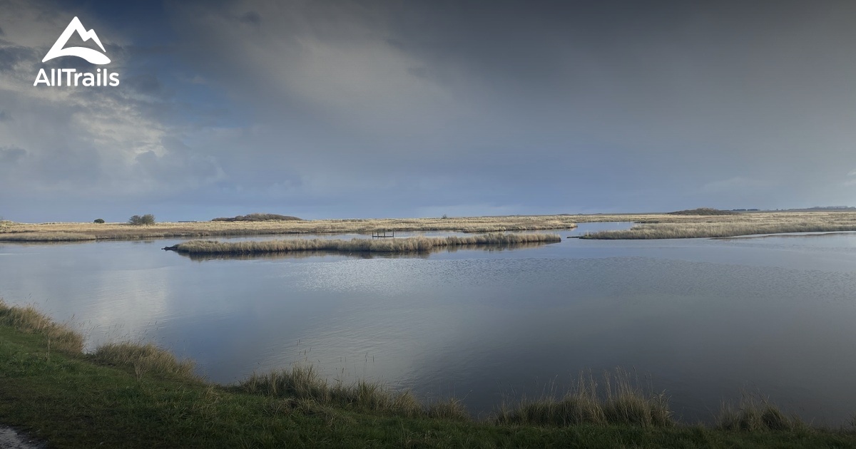 Best hikes and trails in Saltfleetby-Theddlethorpe Dunes | AllTrails