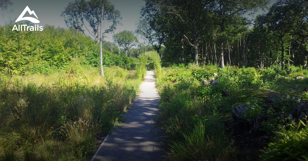 Best hikes and trails in Thornden Wood | AllTrails