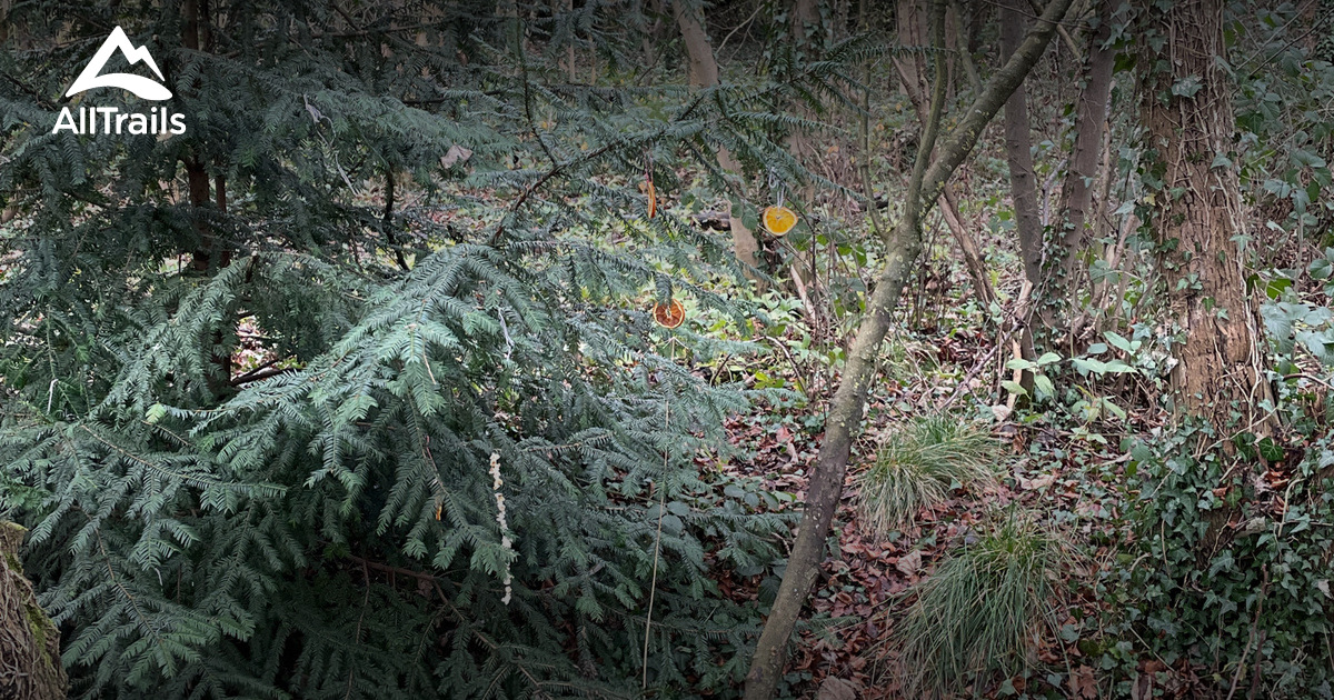 Best hikes and trails in Bulwell Hall Park | AllTrails