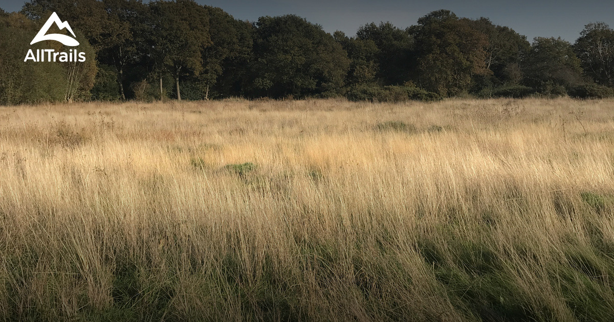 Beddington Park: Die besten Routen zum Wandern | AllTrails