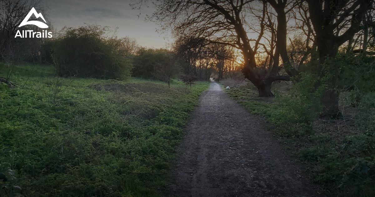 Best hikes and trails in Mitcham Common | AllTrails