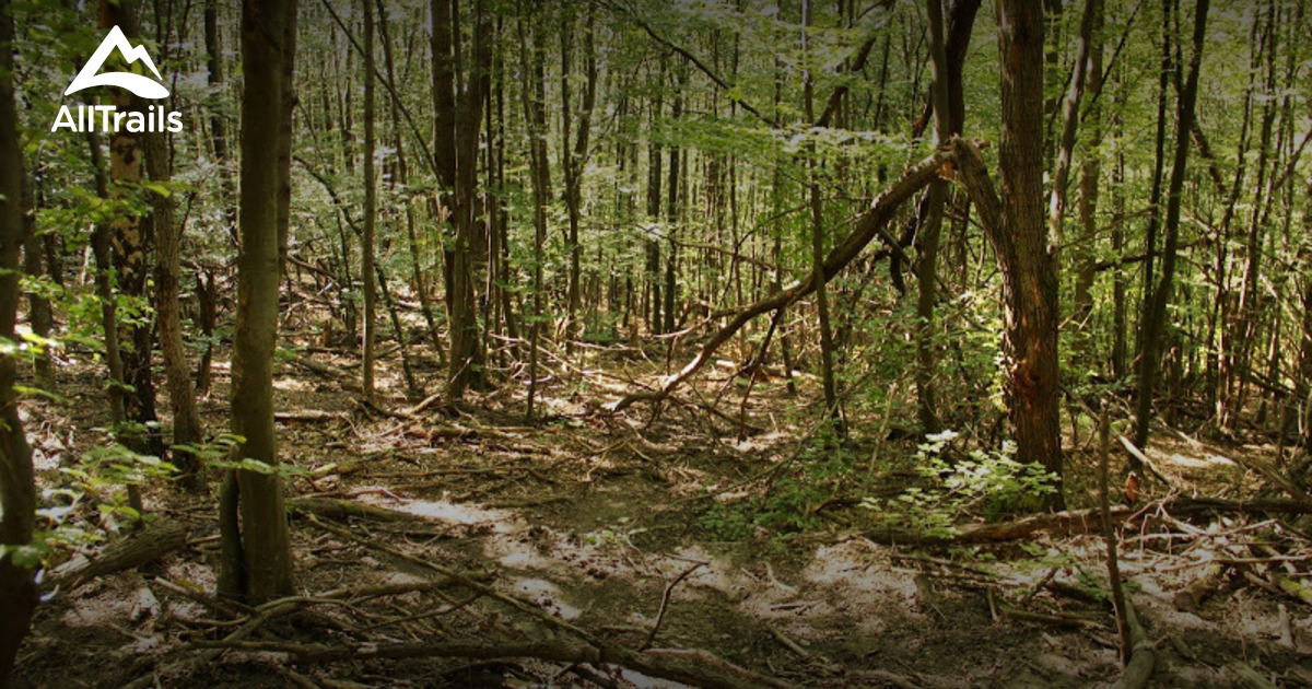 10 Best forest trails in Papuk Nature Park | AllTrails