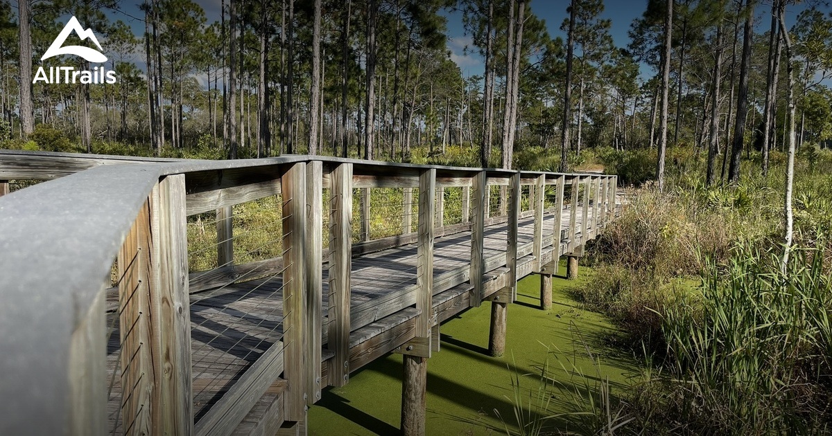 Best walking trails in Panama City Beach Conservation Park | AllTrails