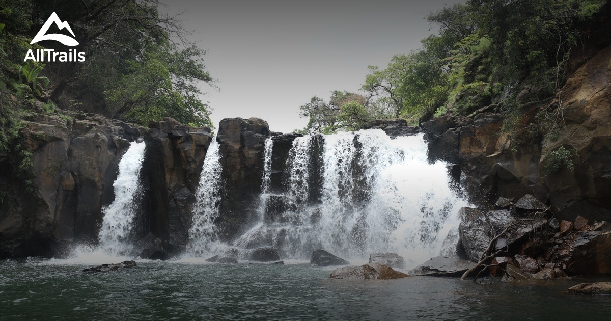 Best river trails in Mhadei Wildlife Sanctuary | AllTrails