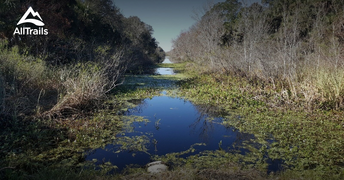 Best kid-friendly trails in Lake Woodruff National Wildlife Refuge ...