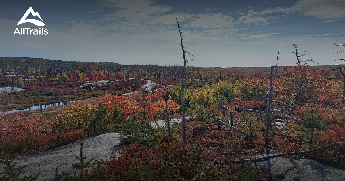Best hikes and trails in Mcintosh Run Regional Park | AllTrails