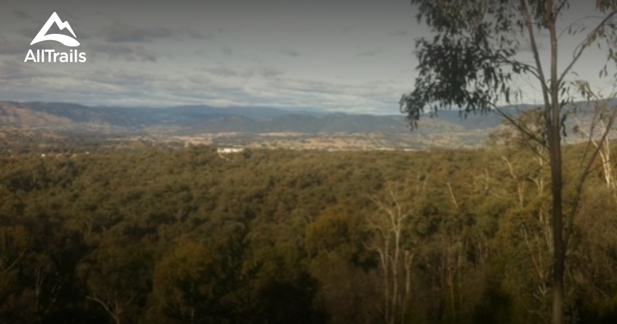 Best hikes and trails in Tumut Mountain Bike Park | AllTrails