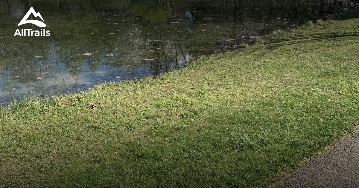 Best hikes and trails in Ada Township Park | AllTrails