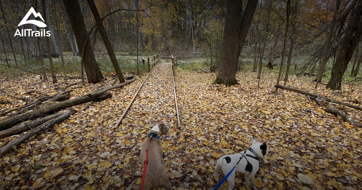 Best hikes and trails in Oak Ridge Park | AllTrails