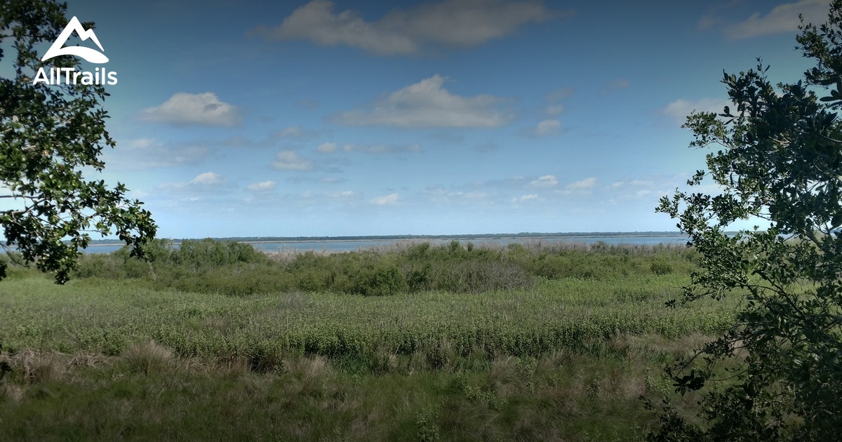 Best hikes and trails in Lake Jesup Conservation Area: East Lake Tract ...