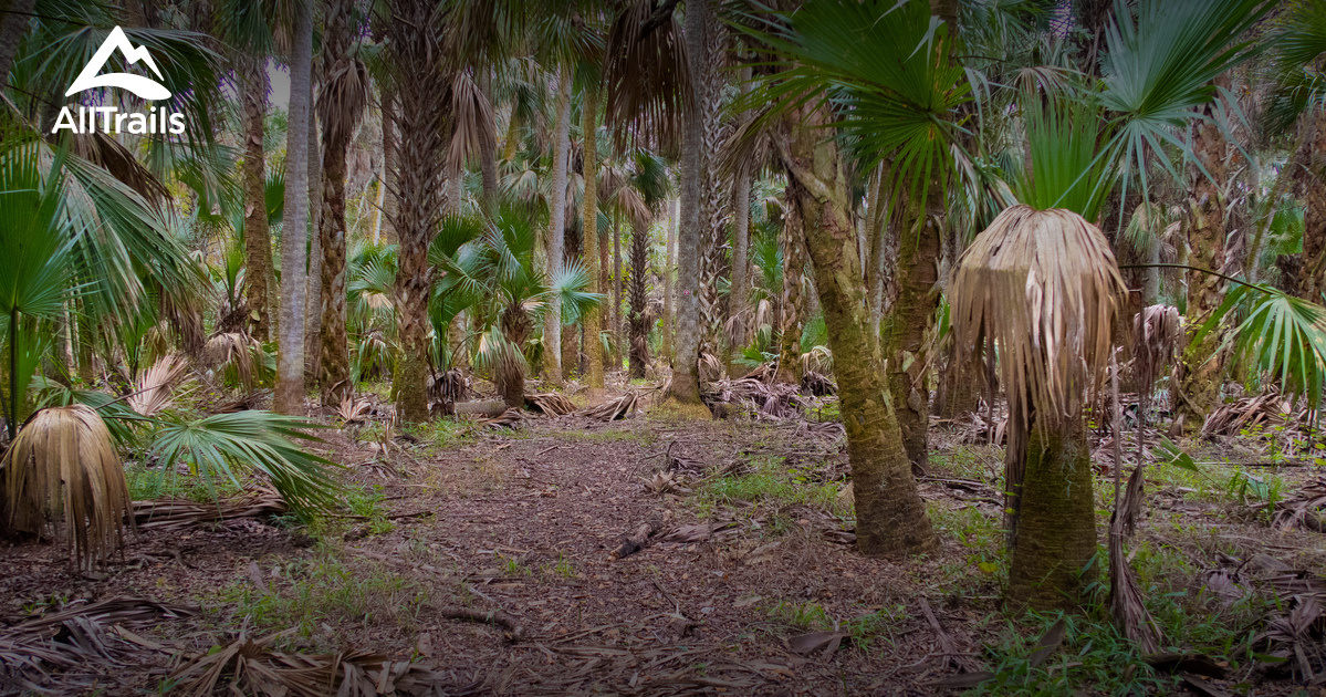 Best hikes and trails in Lake Jesup Wilderness Area | AllTrails