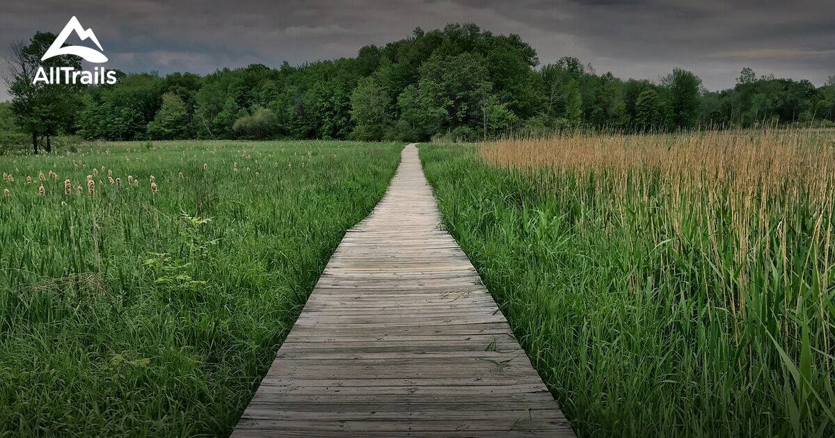 Best hikes and trails in Lake Lansing Park North | AllTrails