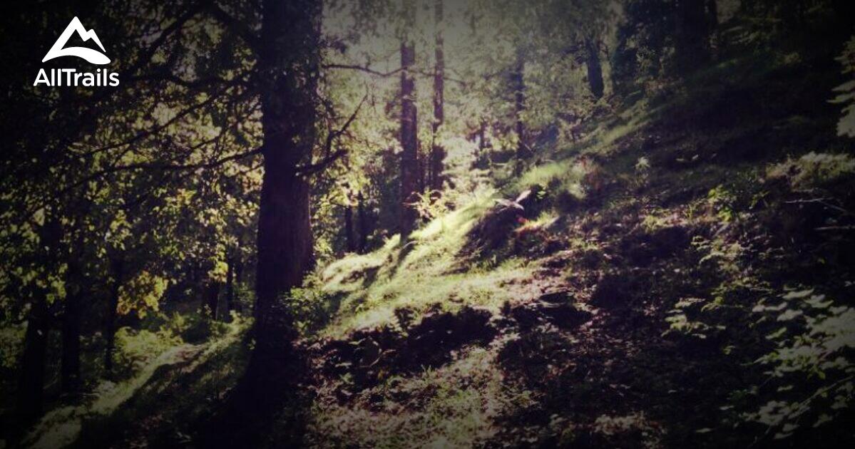 Best hikes and trails in Shimla Water Catchment Wildlife Sanctuary ...