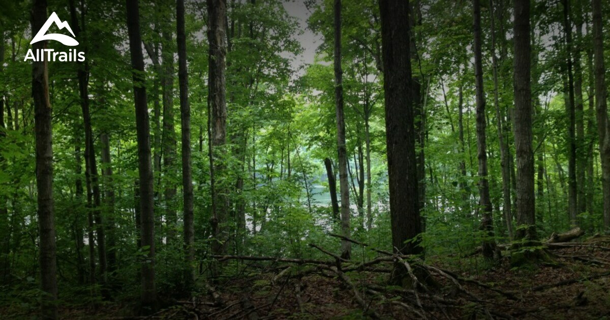 Best hikes and trails in Louis Groen Nature Preserve | AllTrails