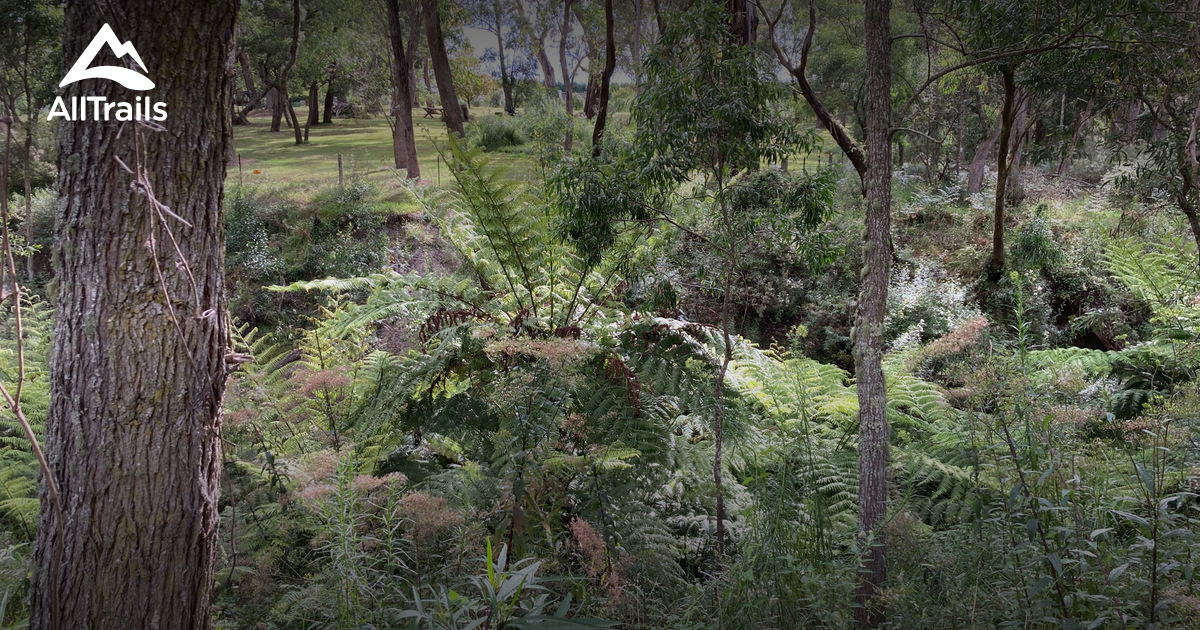 Best hikes and trails in Mansfield Reserve | AllTrails