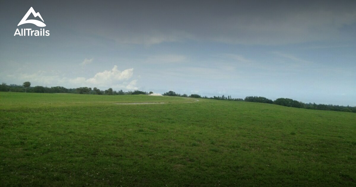 Best hikes and trails in Dyer Park | AllTrails