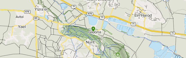 Best Hikes and Trails in Ma'ayan Harod National Park | AllTrails