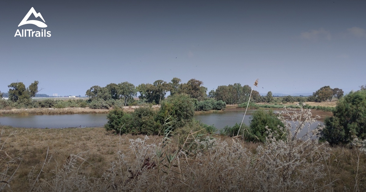 Best hikes and trails in Ein Afek Nature Reserve | AllTrails