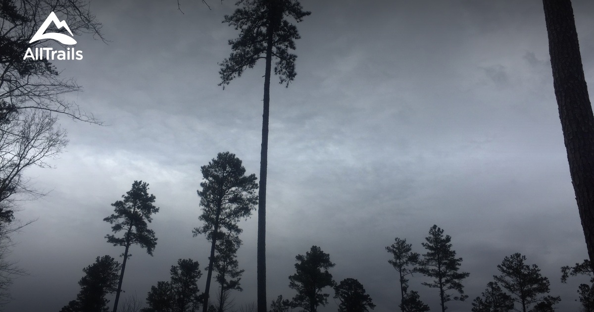 Best hikes and trails in Duke Forest Hillsboro Division | AllTrails