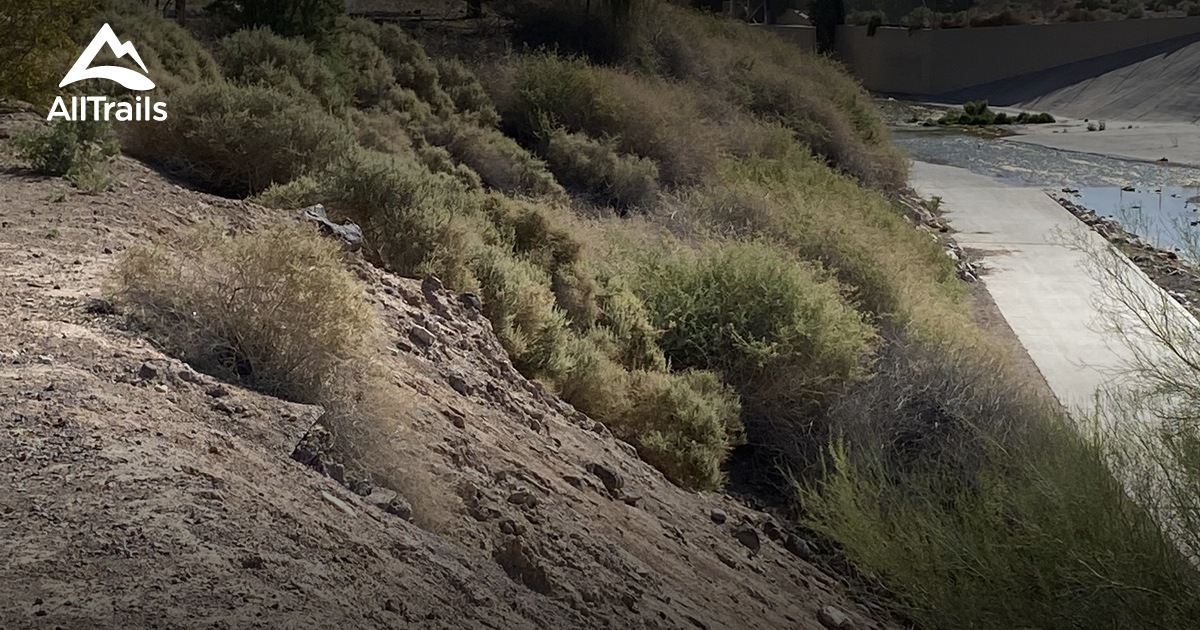 Best hikes and trails in Cactus Wren Park | AllTrails