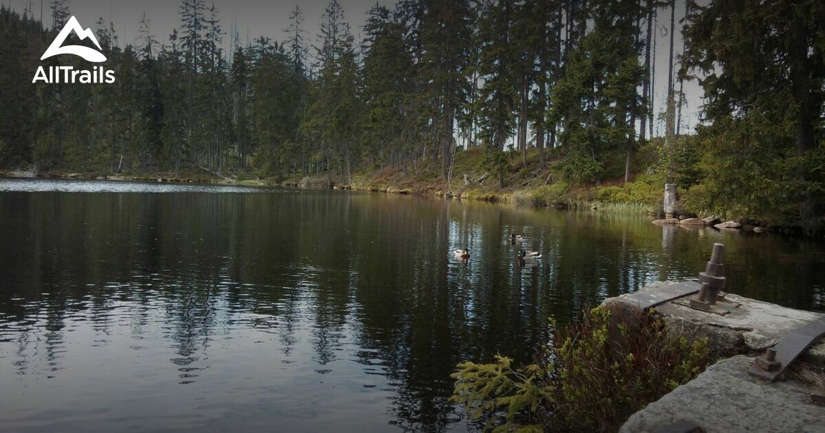 10 Best forest trails in Chráněná krajinná oblast (CHKO) Šumava | AllTrails