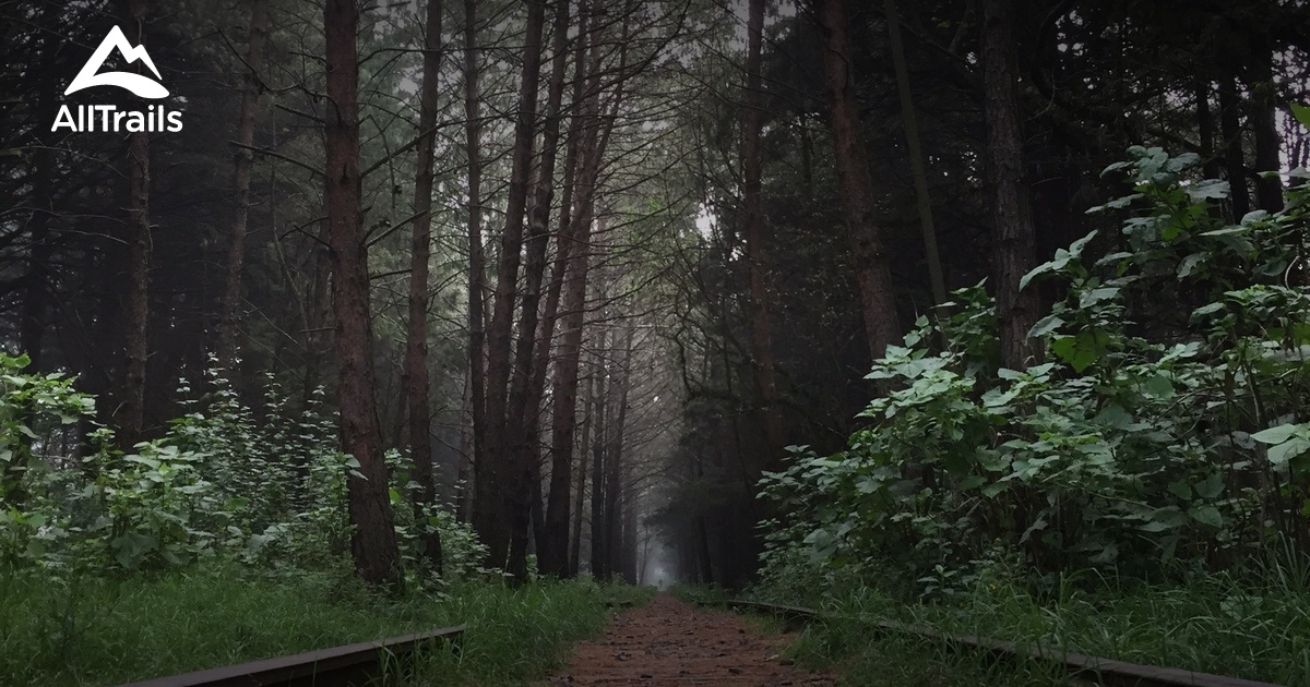 Best hikes and trails in Bosque Marquesa | AllTrails