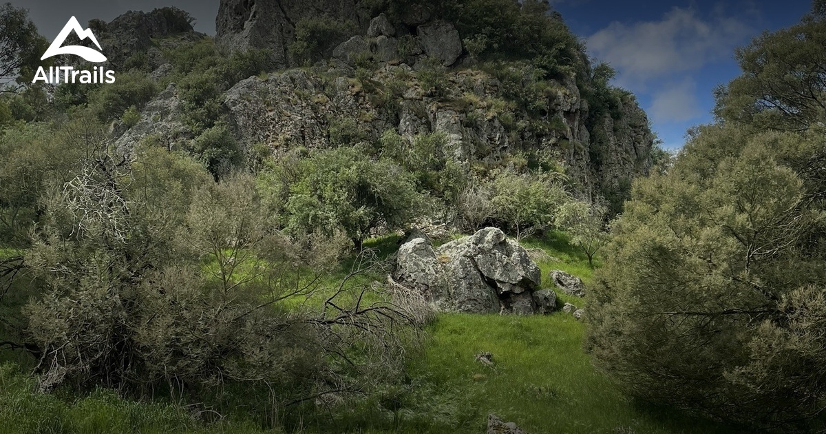 Best hikes and trails in Giant Rock Scenic Reserve | AllTrails
