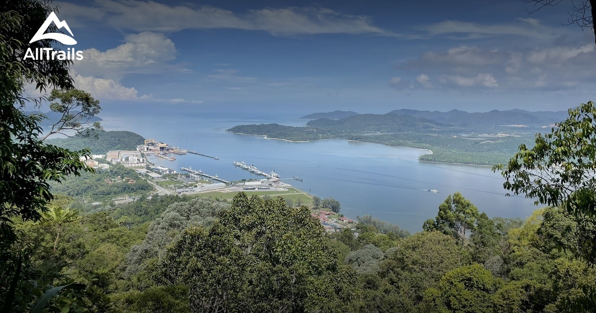 Best hikes and trails in Lumut Forest Reserve | AllTrails