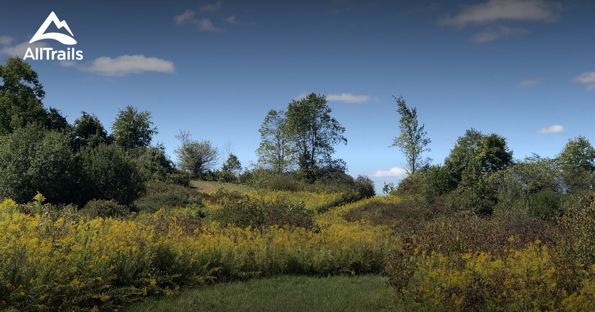 Best hikes and trails in Gleason Family Nature Reserve | AllTrails