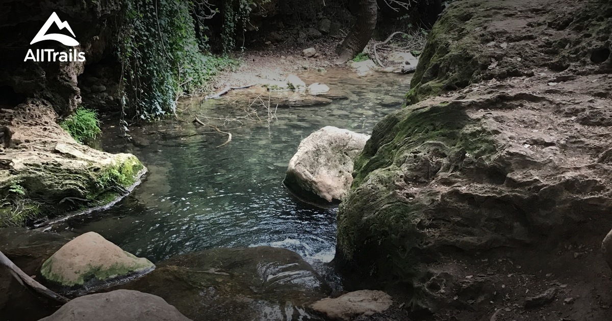 10 Best hikes and trails in Har Meron Nature Reserve | AllTrails