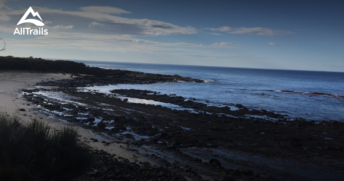 10 Best hikes and trails in Apollo Bay Coastal Reserve | AllTrails