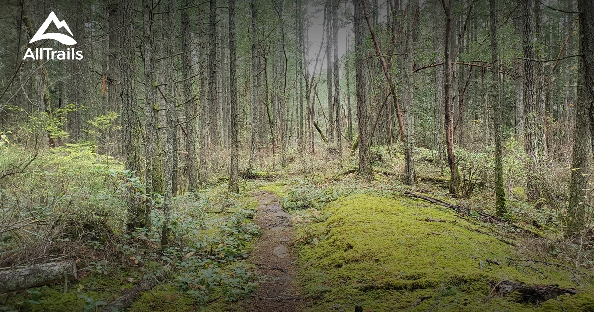 Best hikes and trails in Yellow Point Park | AllTrails