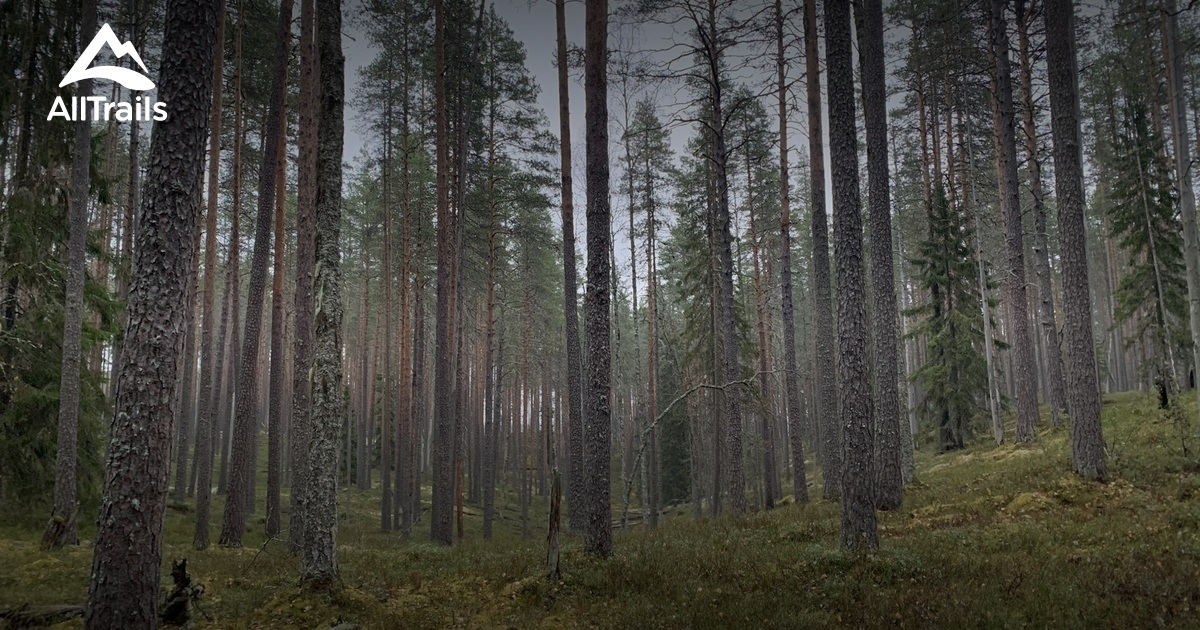 Best backpacking trails in Petkeljärvi National Park | AllTrails