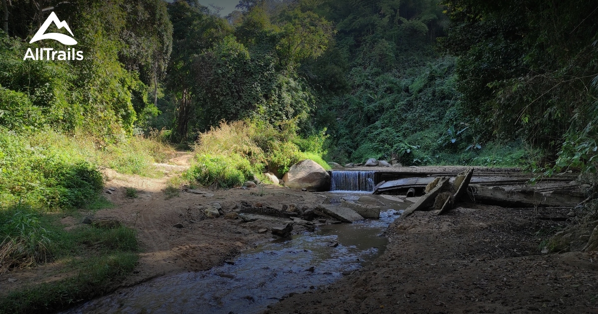 10 Best hikes and trails in Mae Takhrai National Park | AllTrails