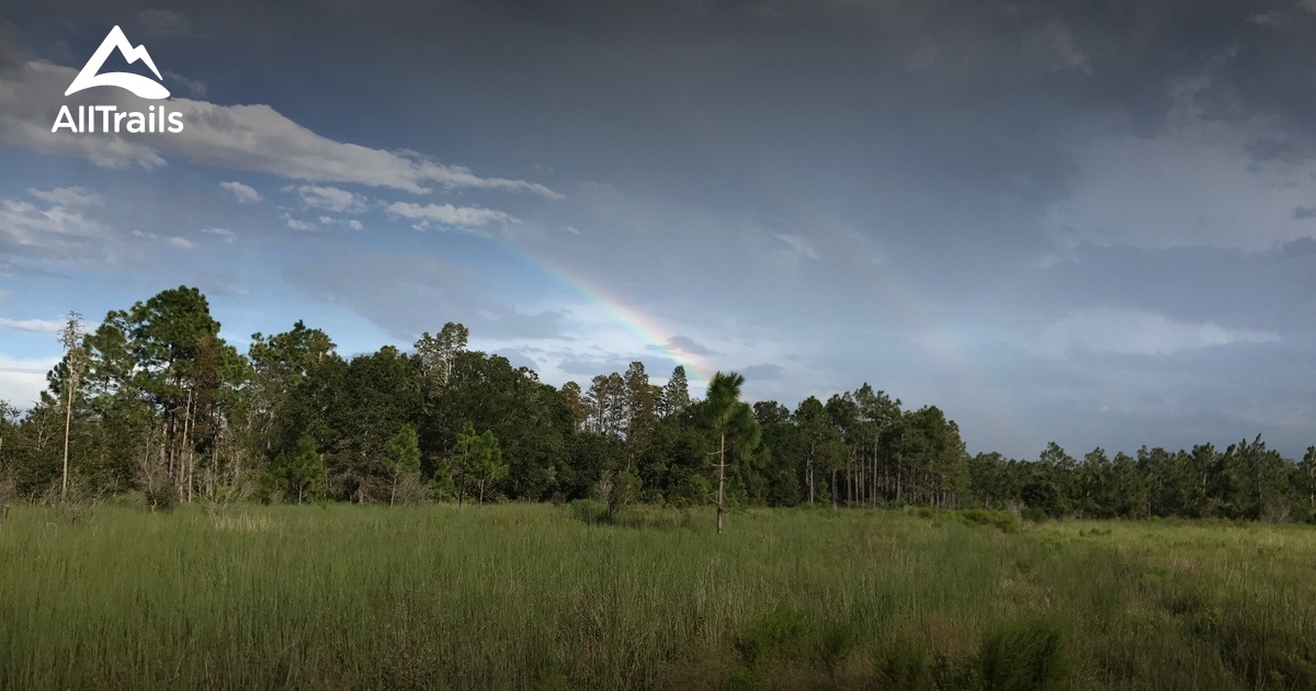 De beste hardlooproutes in Conner Preserve | AllTrails