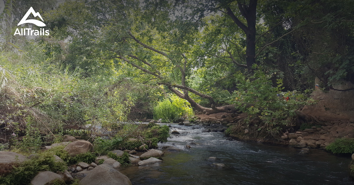 Best hikes and trails in Nahal Snir Nature Reserve | AllTrails
