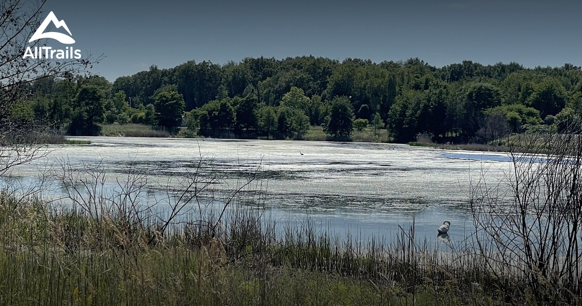 Best hikes and trails in Striebel Park | AllTrails