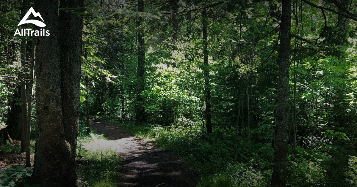 Best hikes and trails in Brown Woods | AllTrails