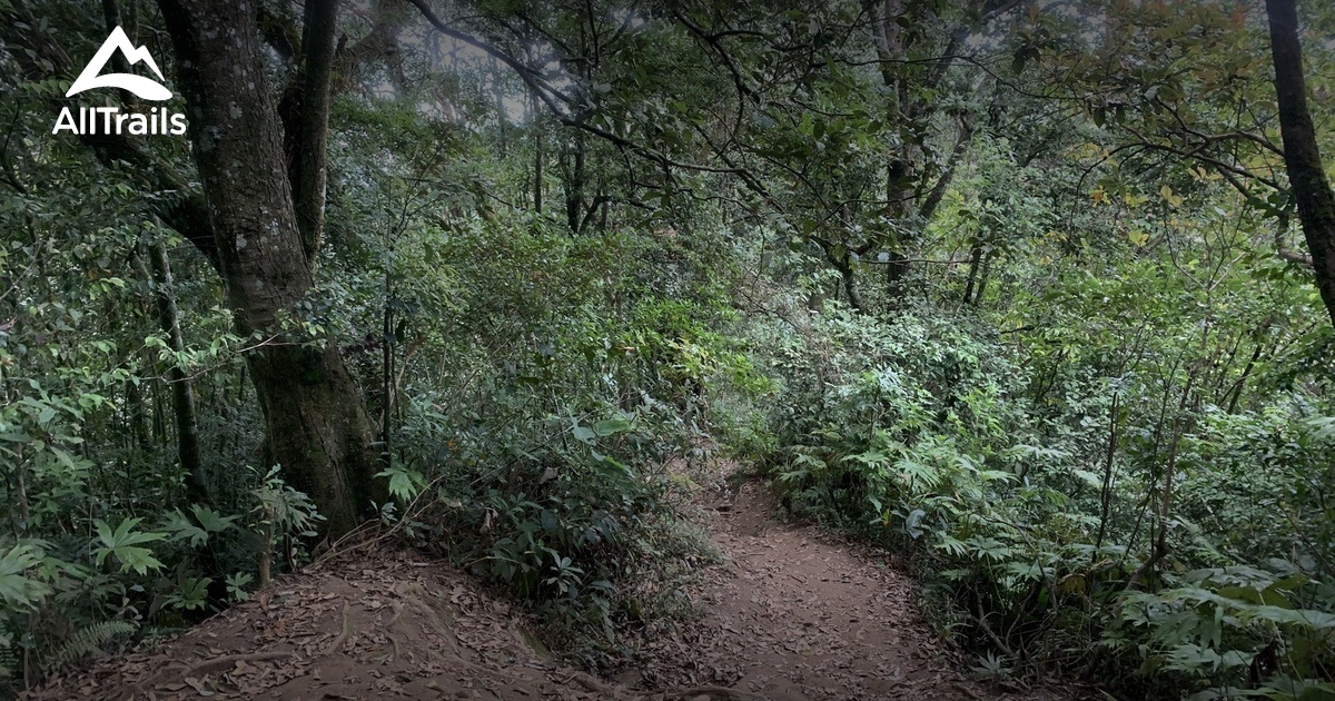 Best hikes and trails in Cagar Alam Gunung Burangrang | AllTrails