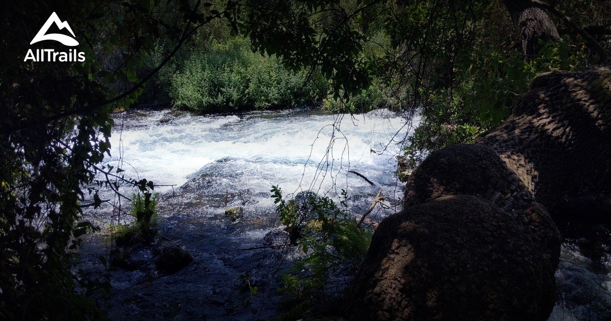 Best views trails in Tel Dan Nature Reserve | AllTrails