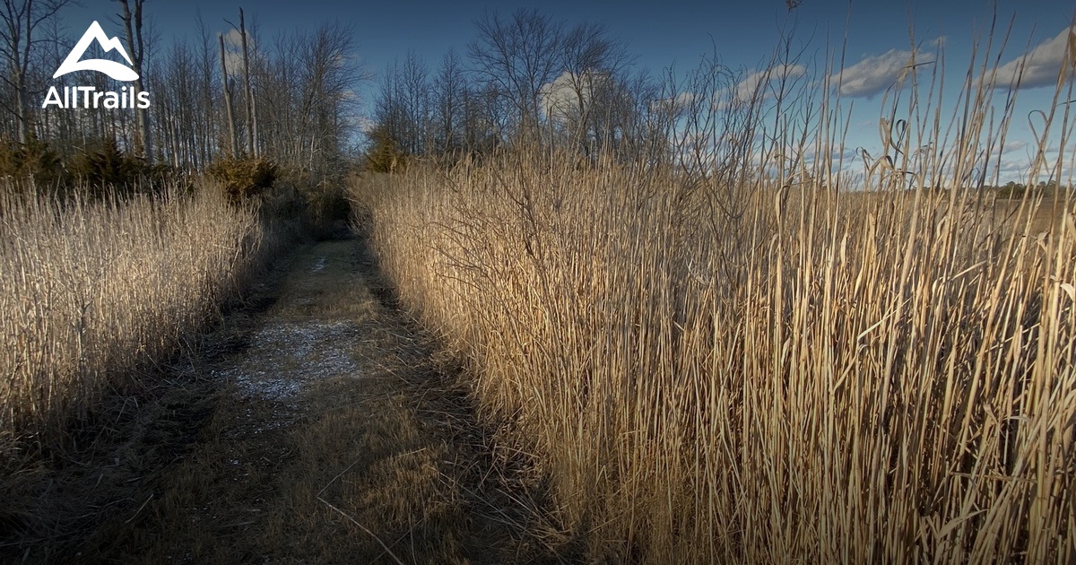Best hikes and trails in Natural Lands’ Glades Wildlife Refuge | AllTrails