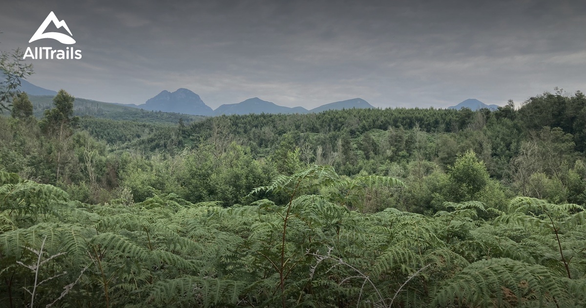 Katrivier Nature Reserve : les meilleures randonnées et itinéraires à ...